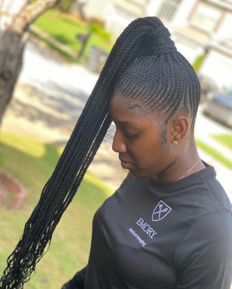 [GALLERY] – Braids Galore 66 Stunning Hairstyles to Elevate Your Look ...