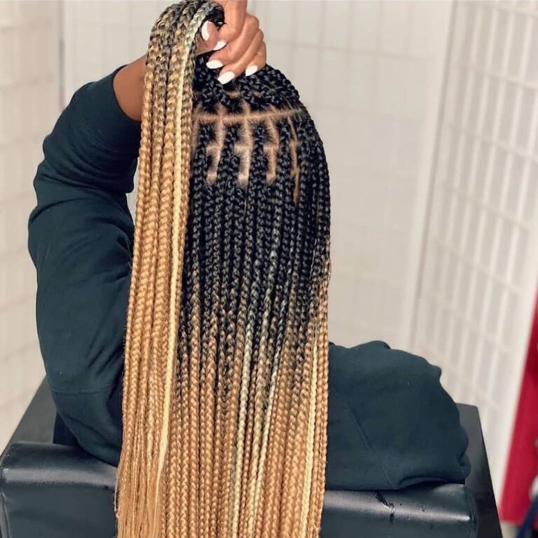 30 Stunning Braid Hairstyles for Women to Stand Out at Any Event (8 ...